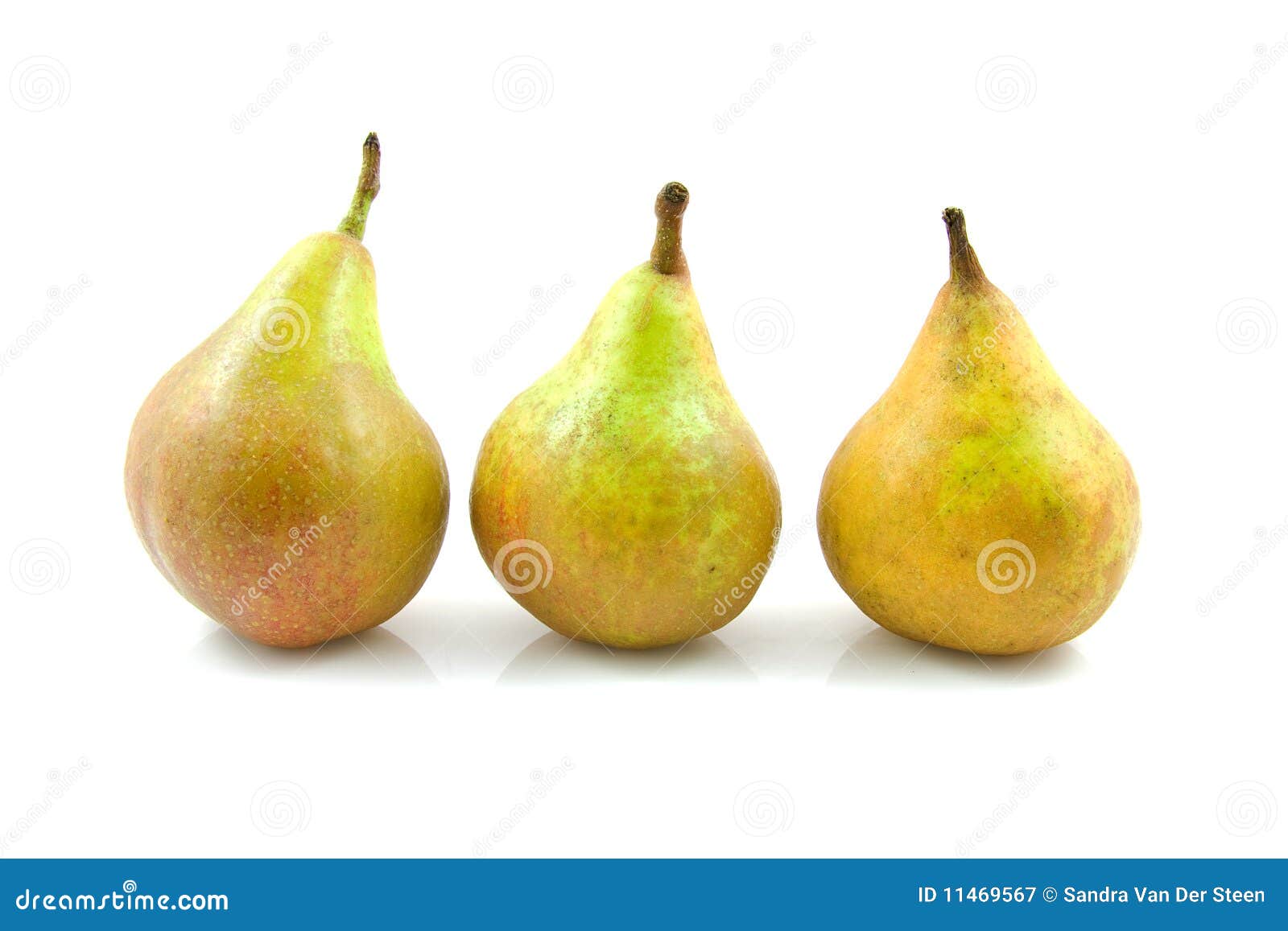 Tres peras en una fila imagen de archivo. Imagen de frugalidad - 11469567