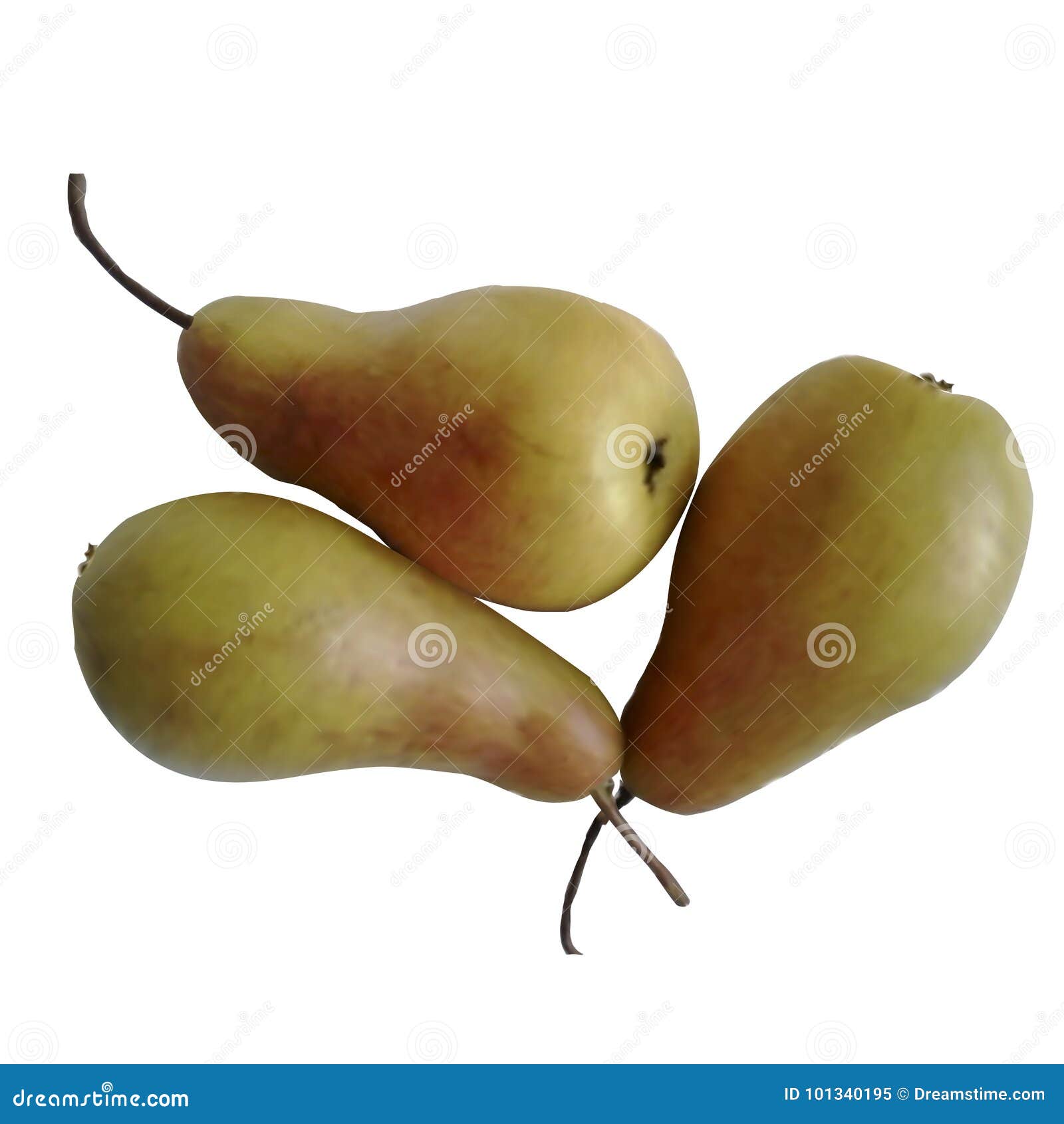 Tres peras, vector ilustración del vector. Ilustración de realista ...