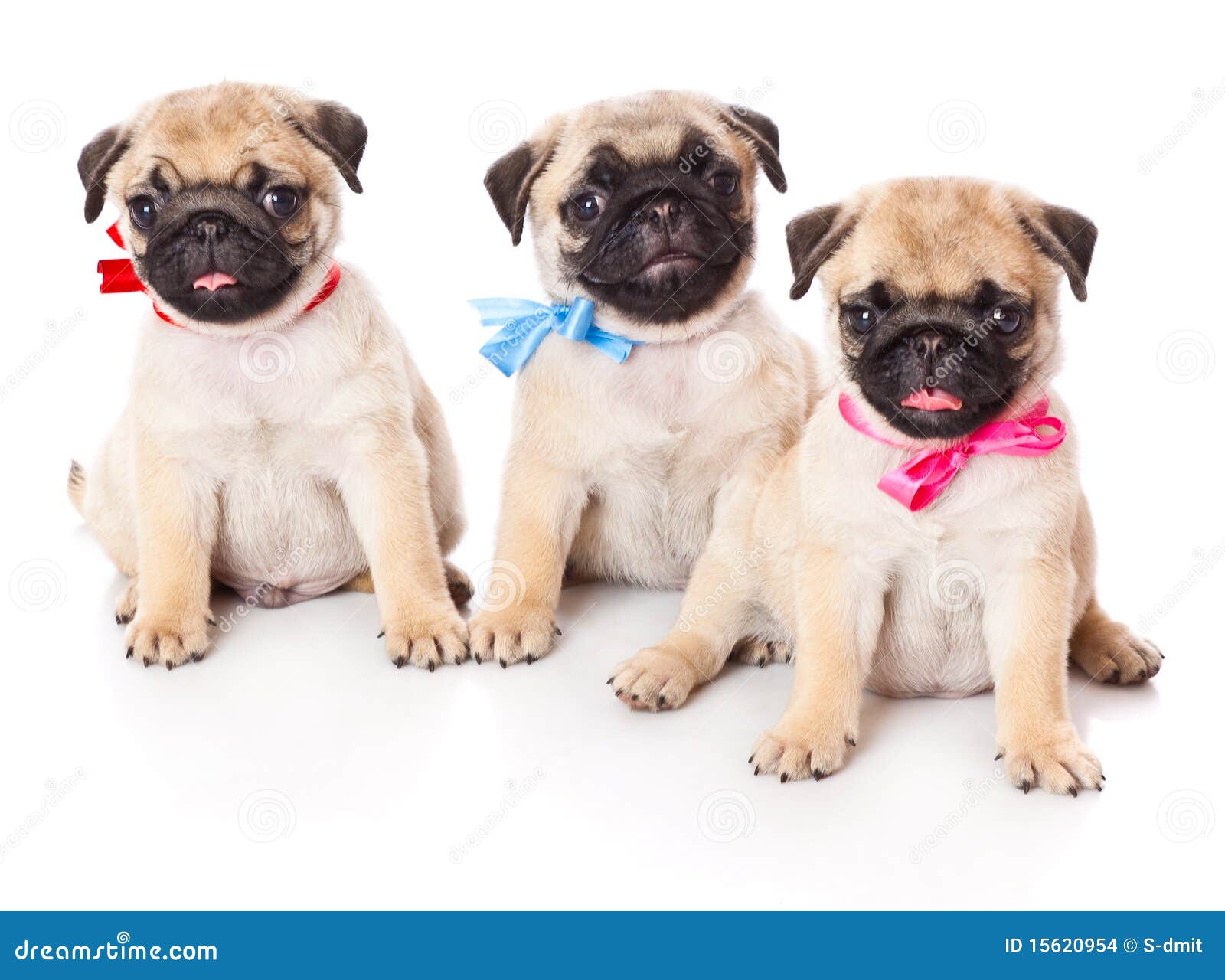 Tres Perritos De Barro Amasado Foto de archivo - Imagen de perro, leal ...
