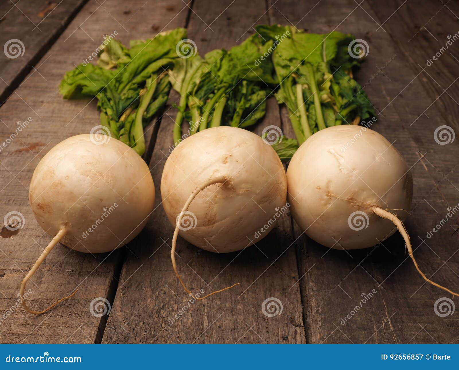 Tres Pueden Nabo En La Madera Imagen de archivo - Imagen de tarjeta ...