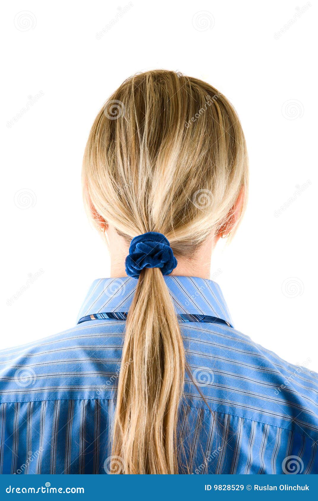 Tress stock image. Image of adult, isolated, look, female - 9828529