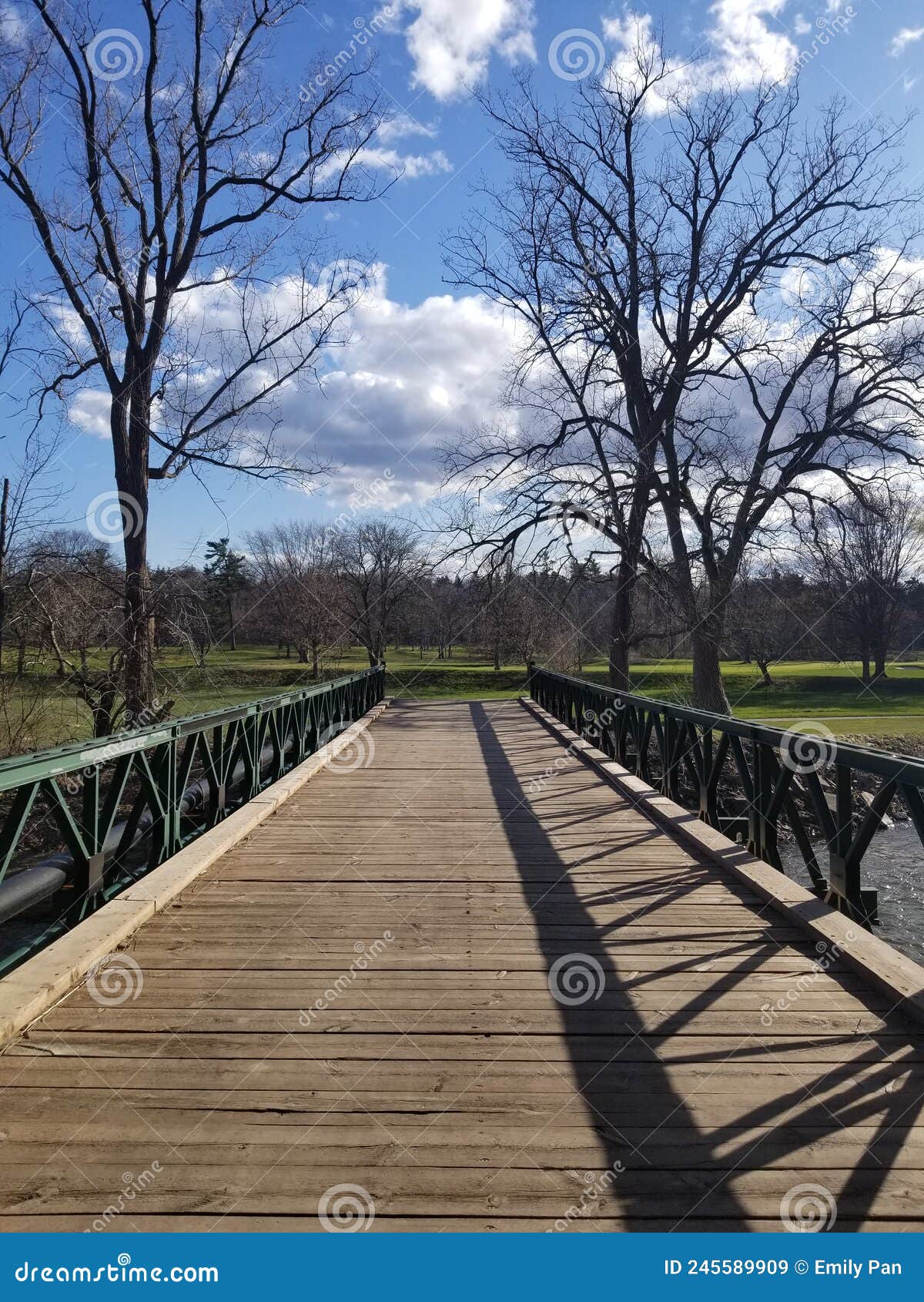 Tress and a Bridge stock image. Image of waterway, bridge - 245589909