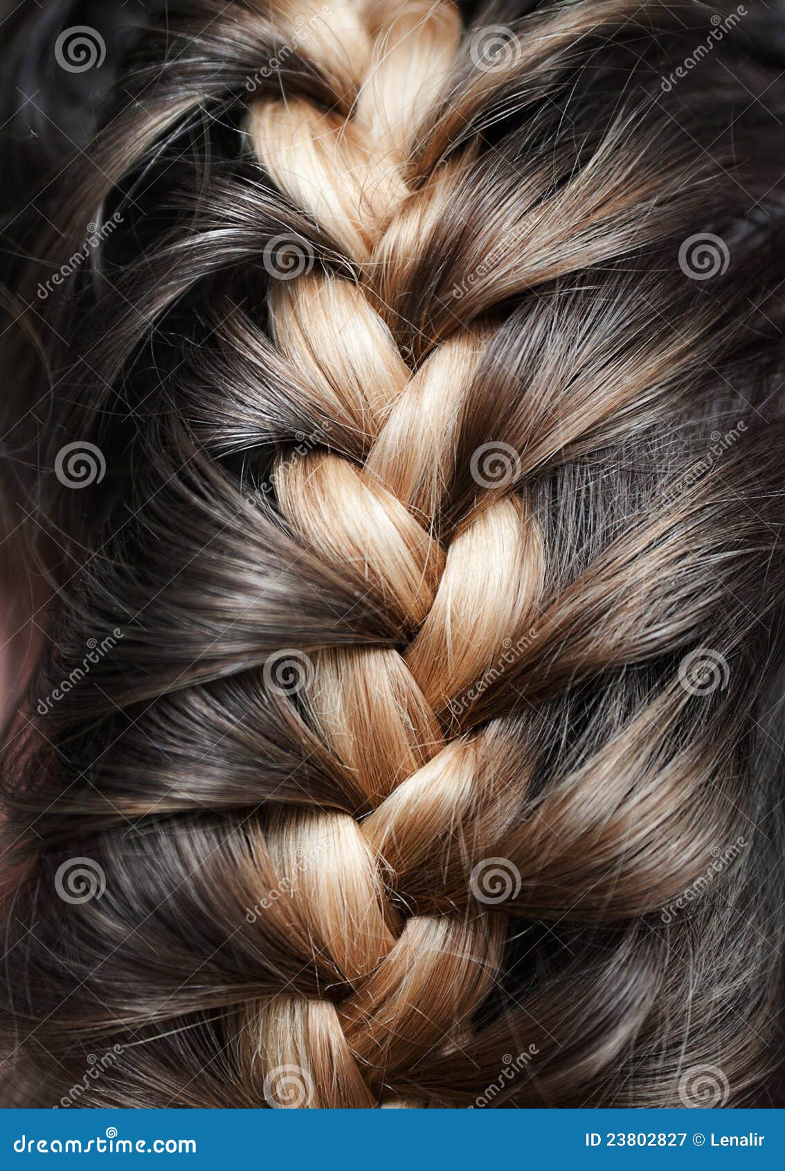 Tresse de fille image stock. Image du enfant, adolescent - 23802827