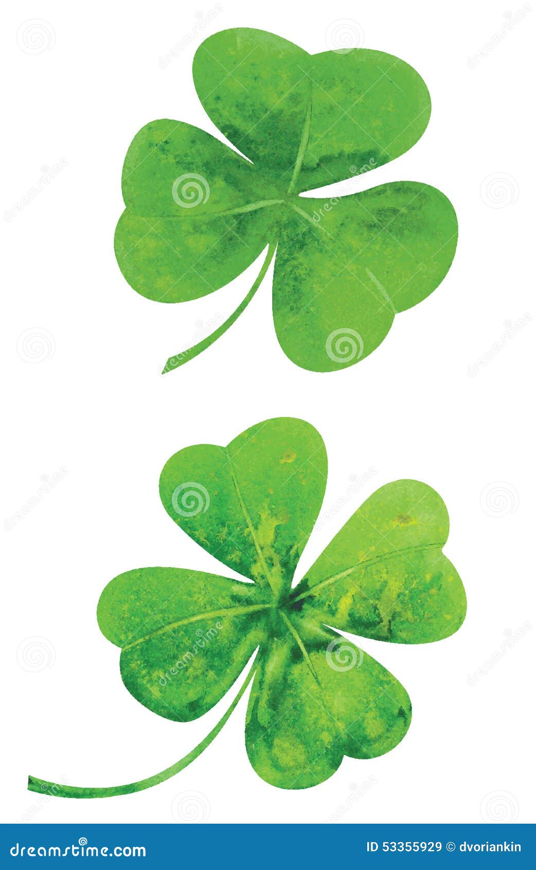 Trevo ilustração do vetor. Ilustração de pintado, isolado - 53355929
