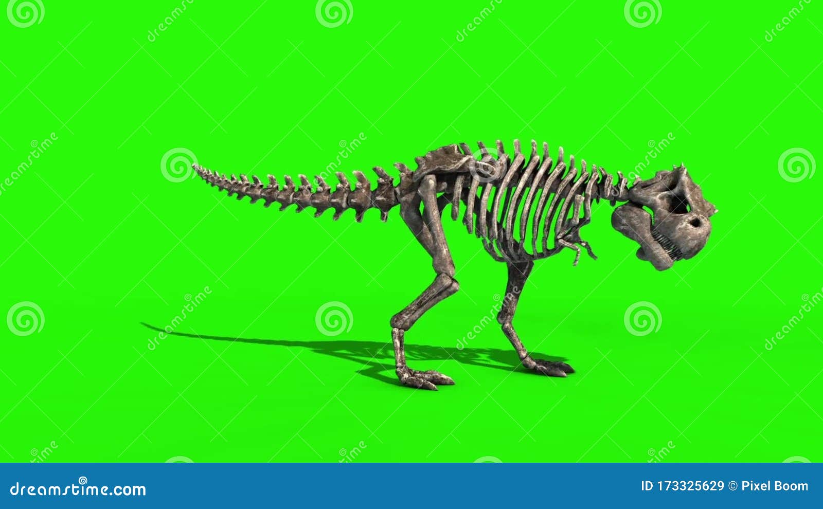 TRex Skeleton Attack Side Jurassic World 3D Rendering Green Screen ...