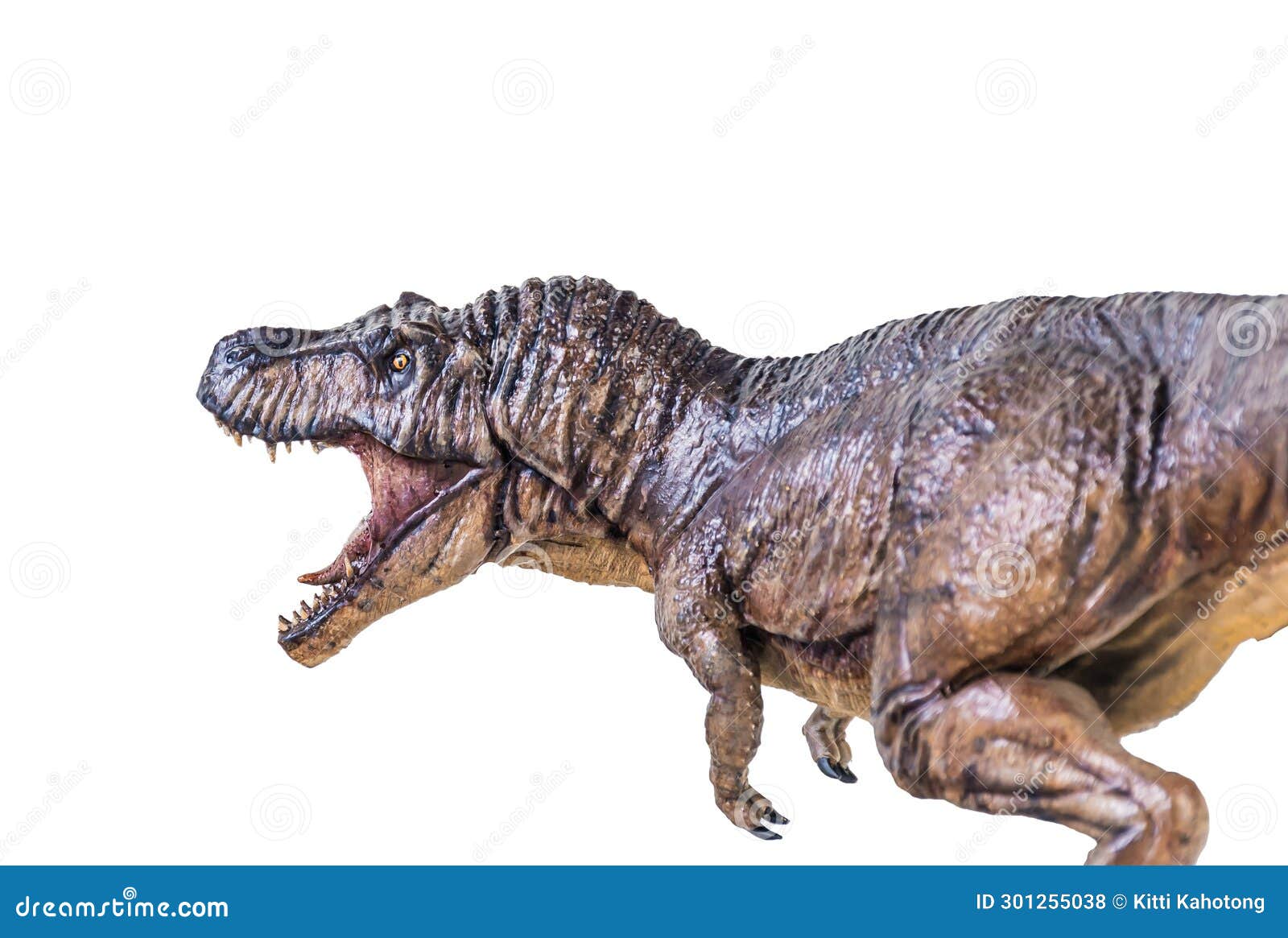 Trex Tyrannosaurus Dinosaur on Isolated Background Stock Photo - Image ... Trex Tyrannosaurus Dinosaur on Isolated Background Stock Photo - Image ...