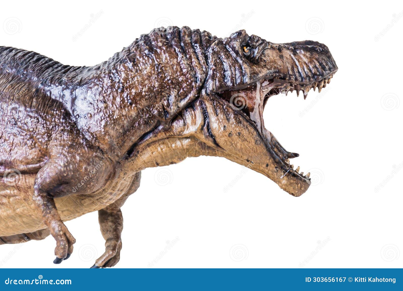 Trex Tyrannosaurus Dinosaur on Isolated Background Stock Image - Image ... Trex Tyrannosaurus Dinosaur on Isolated Background Stock Image - Image ...