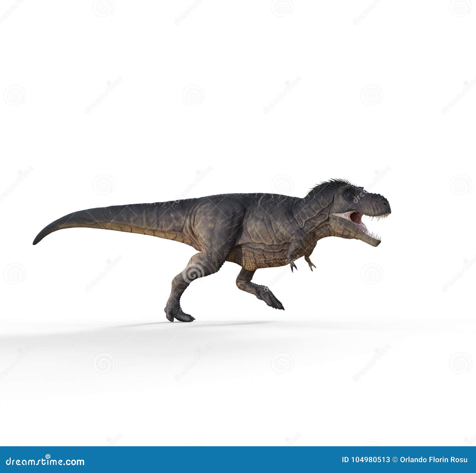 Trex White on White Background. Stock Illustration - Illustration of ...