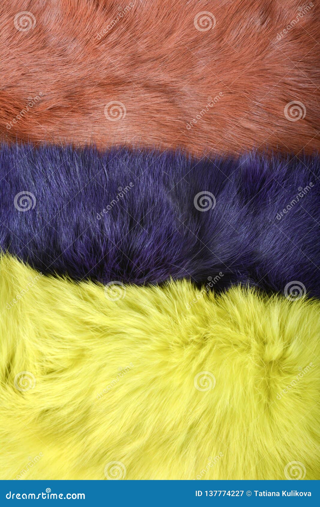 Tri-colored Background of Natural Pieces of Fur Stock Image - Image of ...