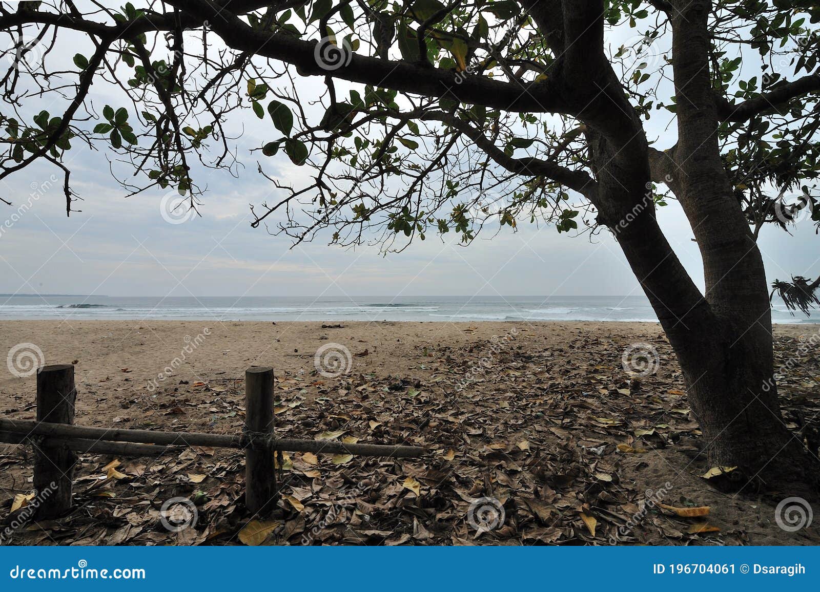 Trianggulasi Beach stock image. Image of hidden, grey - 196704061