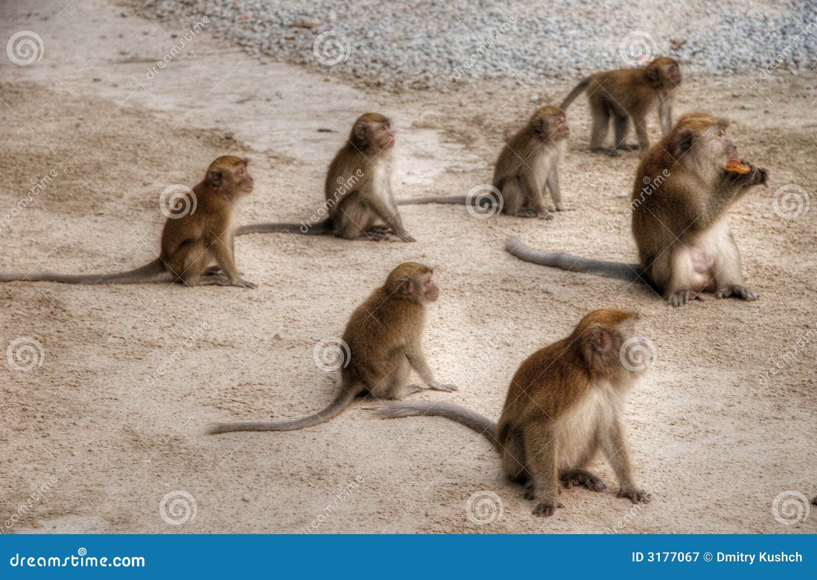 Triangle stock image. Image of island, nature, malaysia - 3177067
