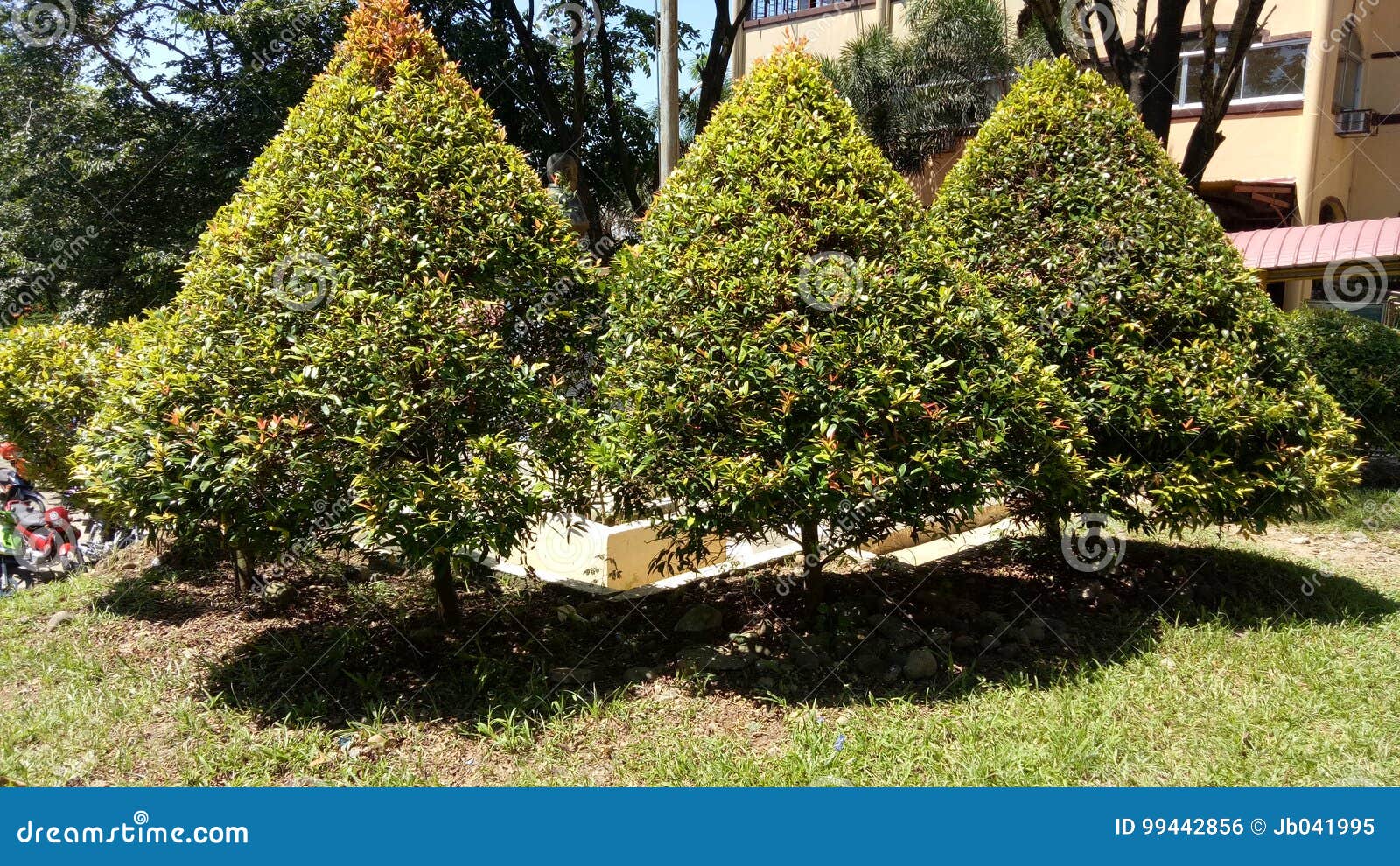 Bulsu Stock Photos - Free & Royalty-Free Stock Photos from Dreamstime