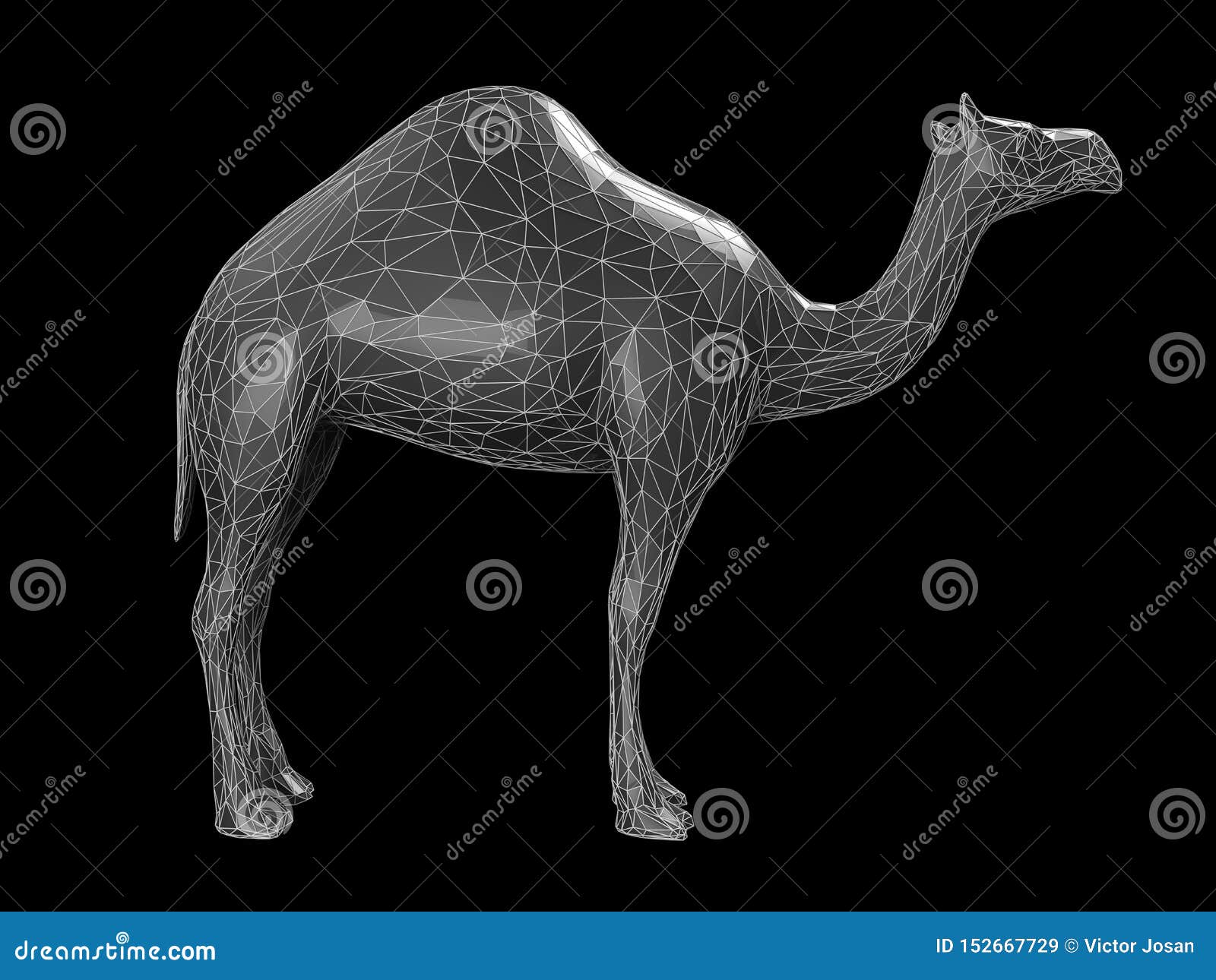 Triangle of Camel Shape. Polygonal 3d Illustration Stock Illustration ...