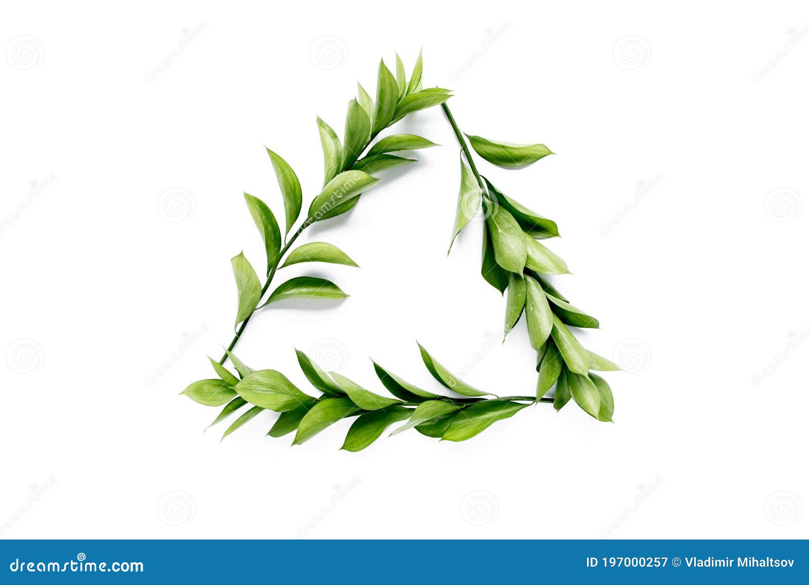 Triangle Frame with Green Leaves and Branches Isolated on White ...