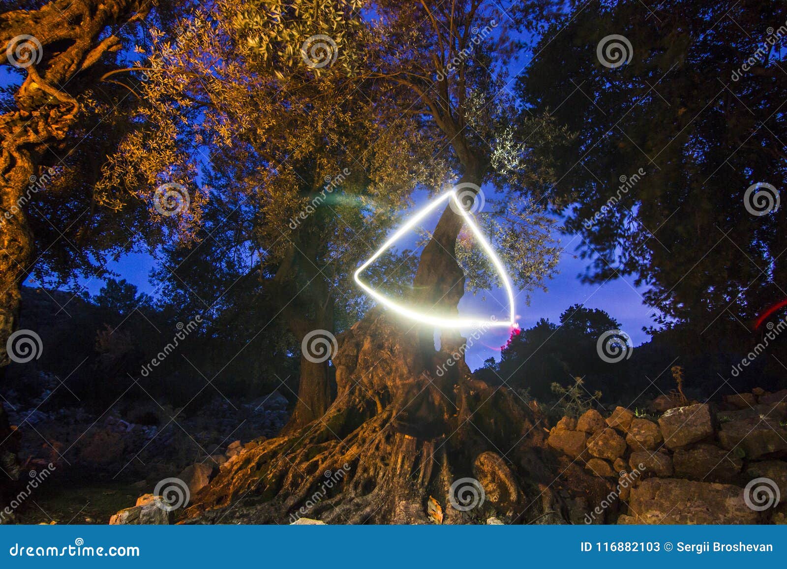 Triangle of Light in Night Forest Stock Image - Image of bonfire ...