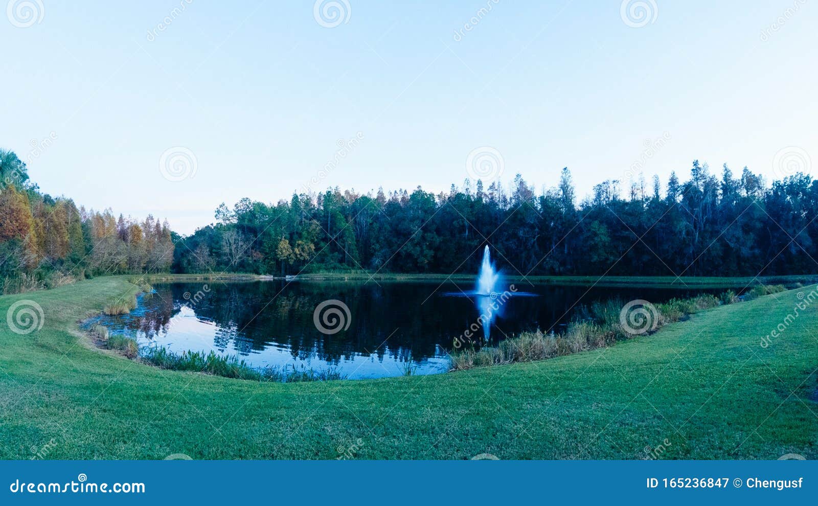 A community pond and tree stock image. Image of global - 165236847
