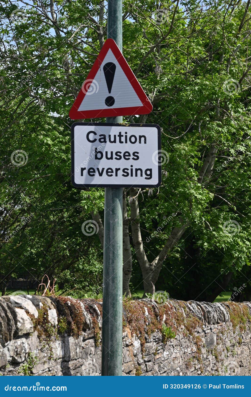 Triangle road sign buses stock photo. Image of triangle - 320349126