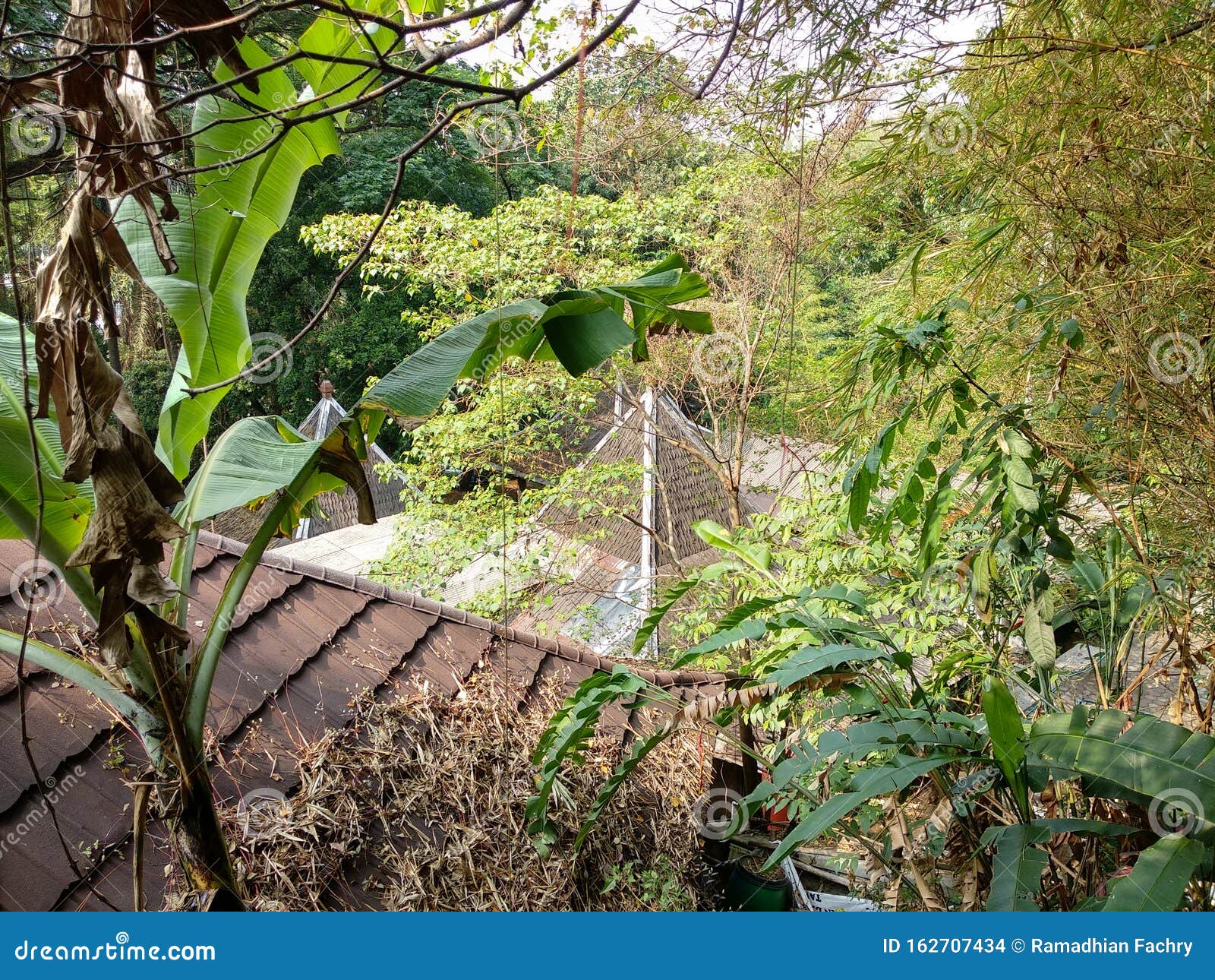 Triangle Roof With The Transparent Tile On The Pathway Stock Image ...