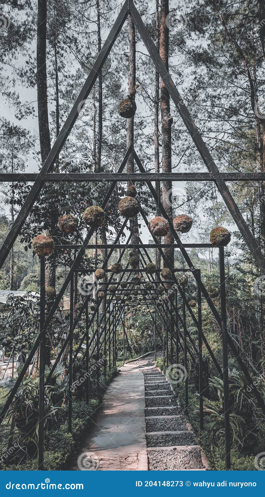 Triangle Shape in the Garden Stock Image - Image of forest, iron: 204148273