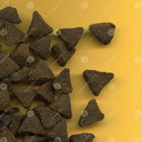 Triangular cat biscuits stock photo. Image of pile, biscuits - 5802082