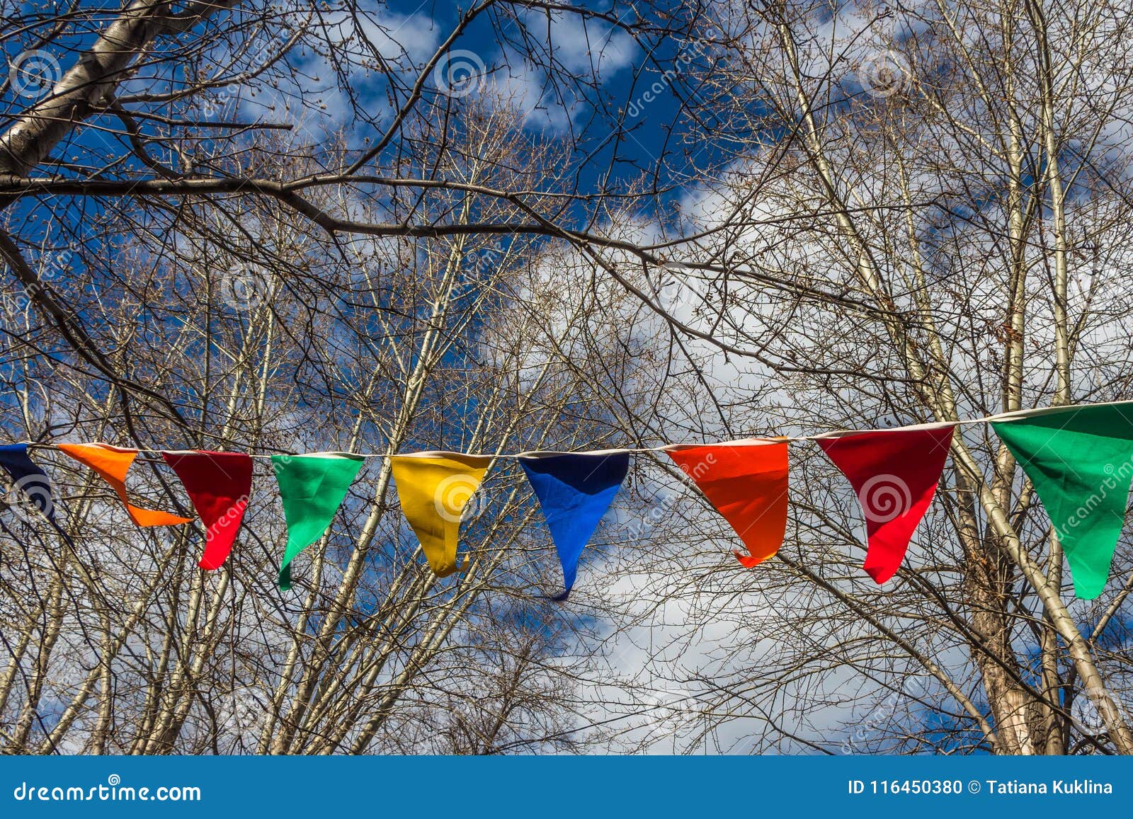 The Triangular Colored Flags Hang on a White Rope between the Branches ...