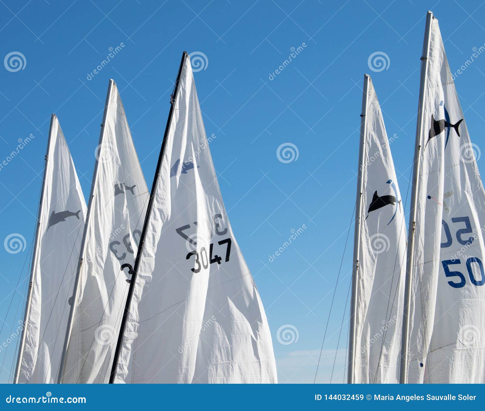 Boat sails. stock image. Image of sails, wind, boat - 144032459