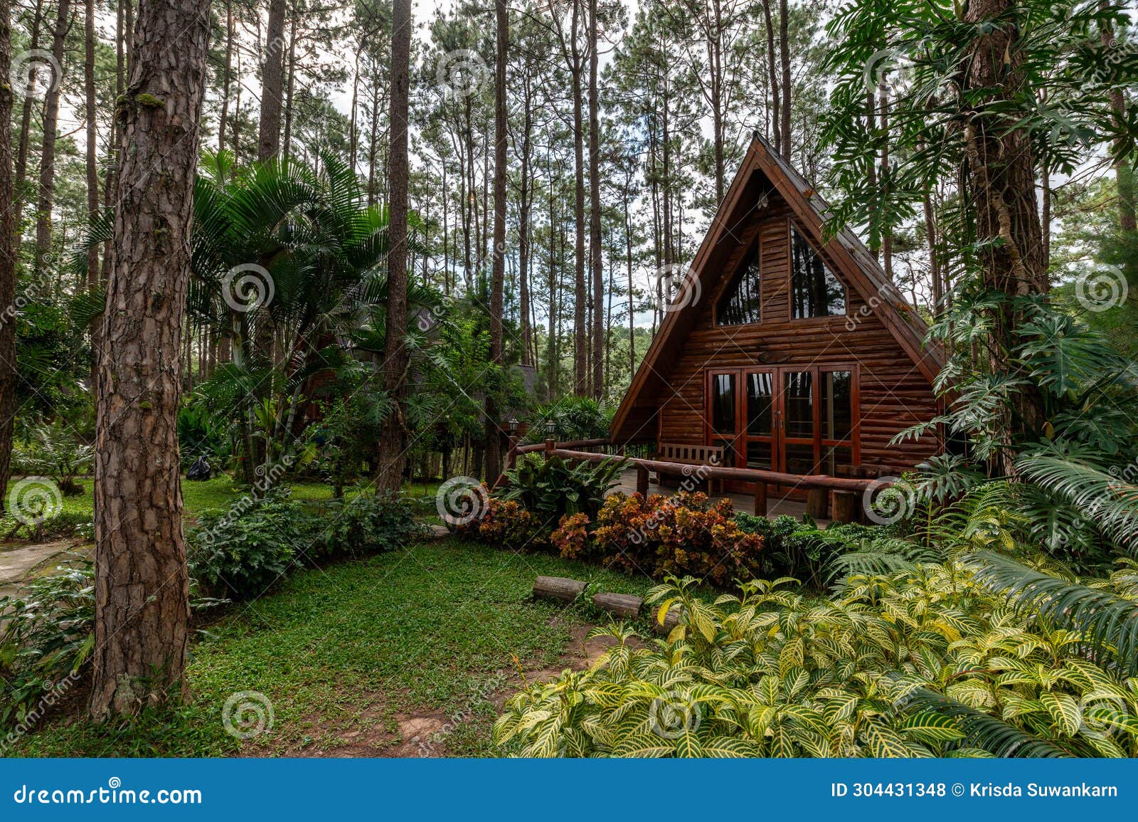 Triangular House Built from Wood in the Forest Stock Photo - Image of ...