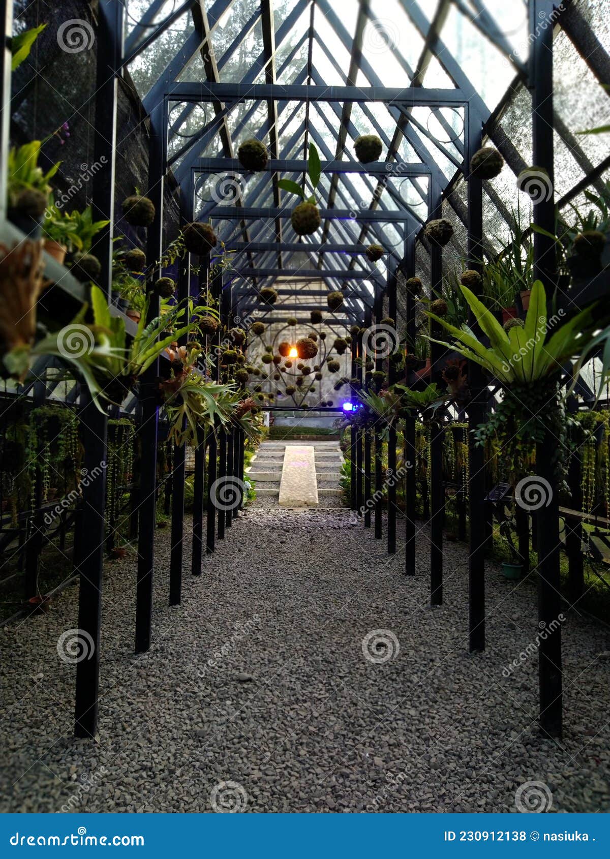 The Triangular House of Plants Stock Photo - Image of green, triangular ...