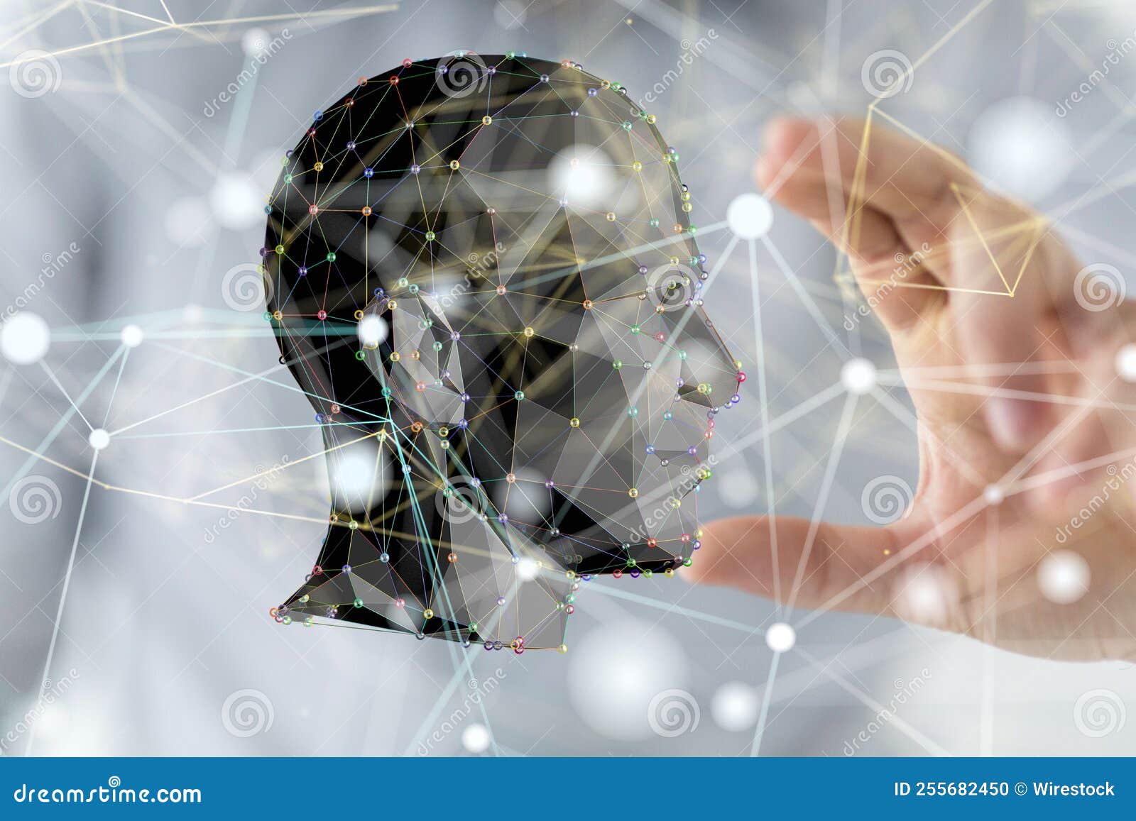 Triangular Mesh of a Human Head Demonstrated by a Mal Stock Photo ...