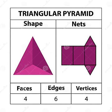 Triangular Pyramid Nets, Faces, Edges, and Vertices. Geometric Figures ...