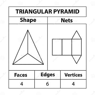 Triangular Pyramid Nets, Faces, Edges, and Vertices. Geometric Figures ...