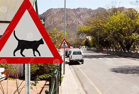 Triangular Road Sign Warning Cats are Crossing Stock Image - Image of ...