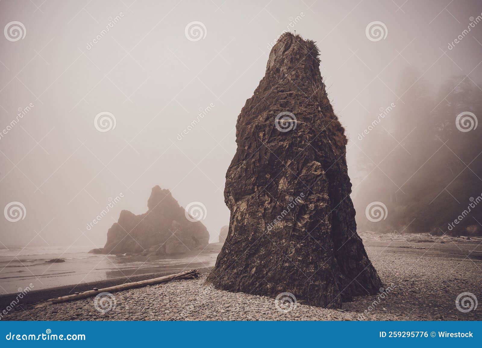 Triangular Rock Formation on Ruby Beach on Foggy Day in Washington ...