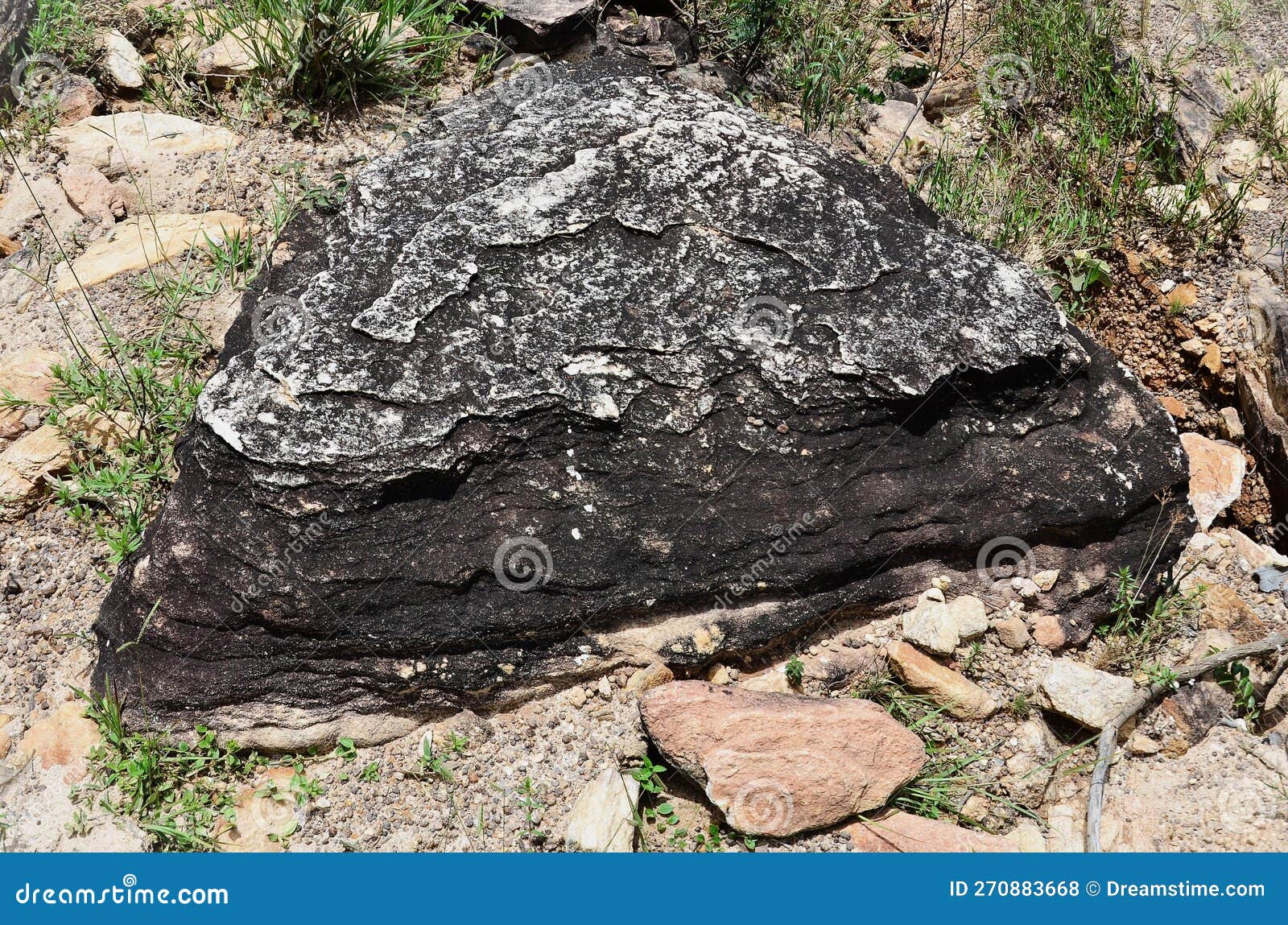 Triangular Shaped Dark Stone in the Field Stock Photo - Image of ...