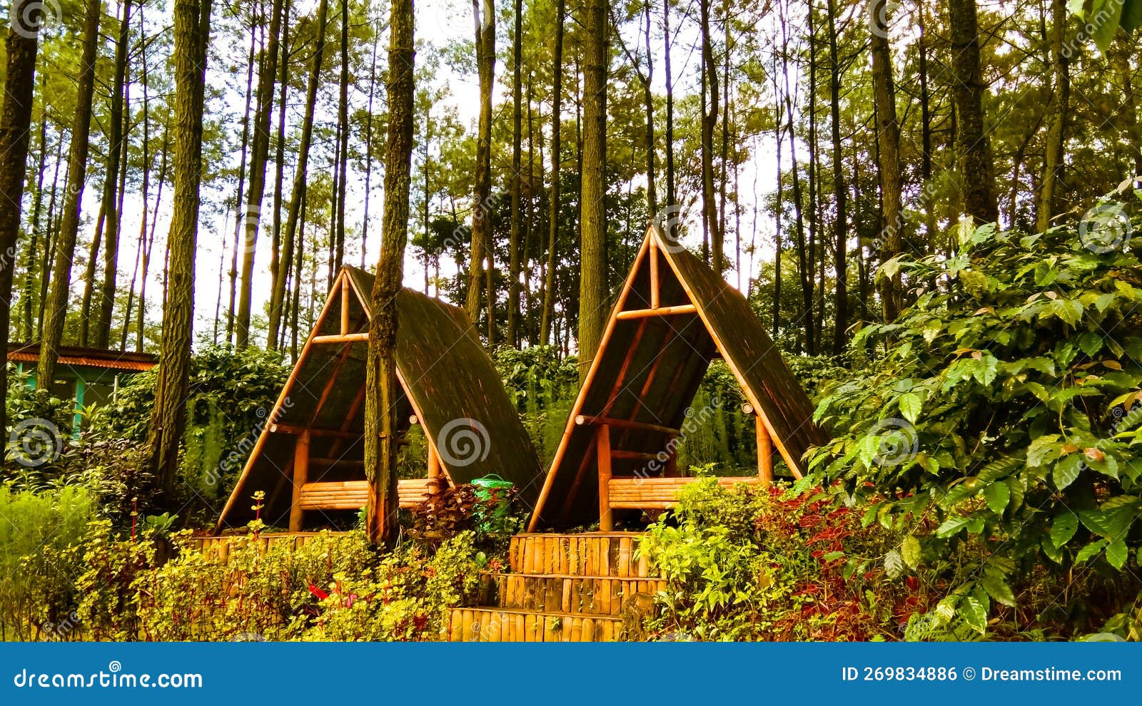 Triangular Shaped Brick Wall Background. Royalty-Free Stock Image ...