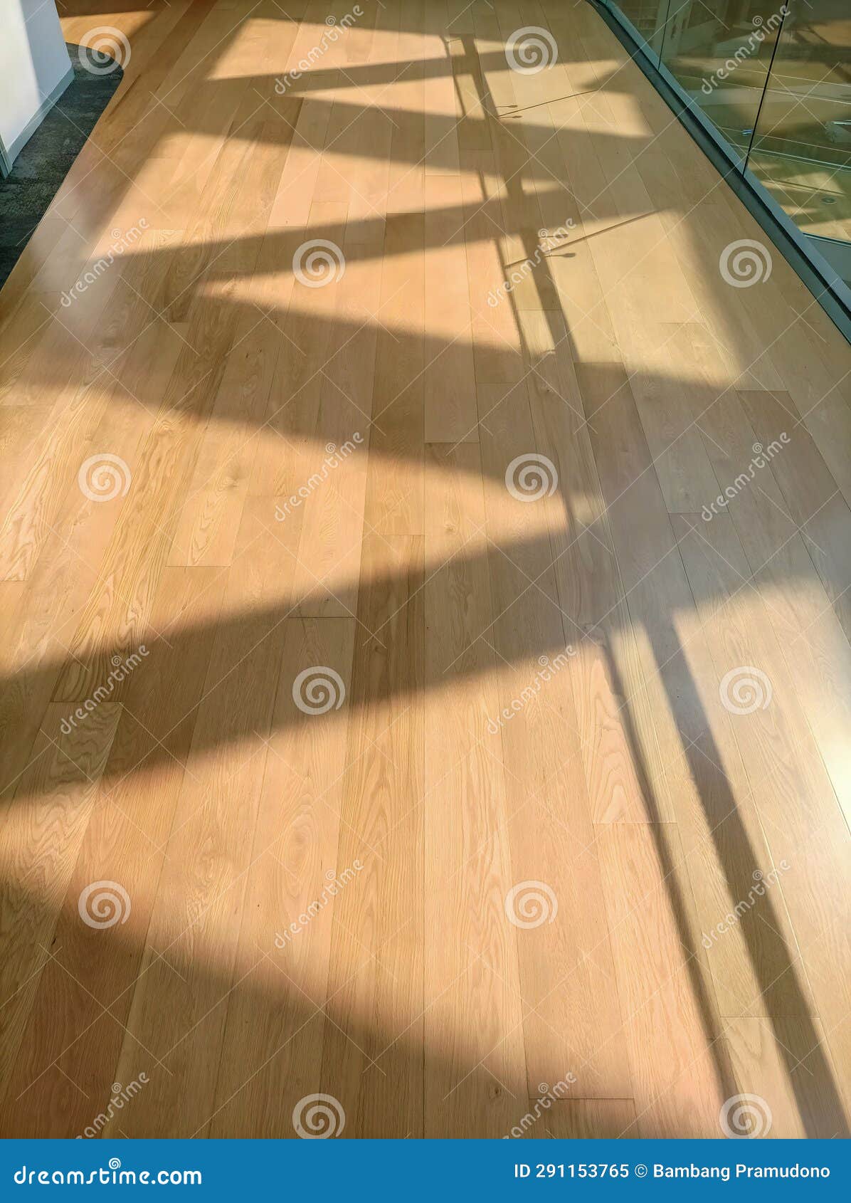 Triangular Silhouette Shadow of the Glass Roof of the Building on the ...