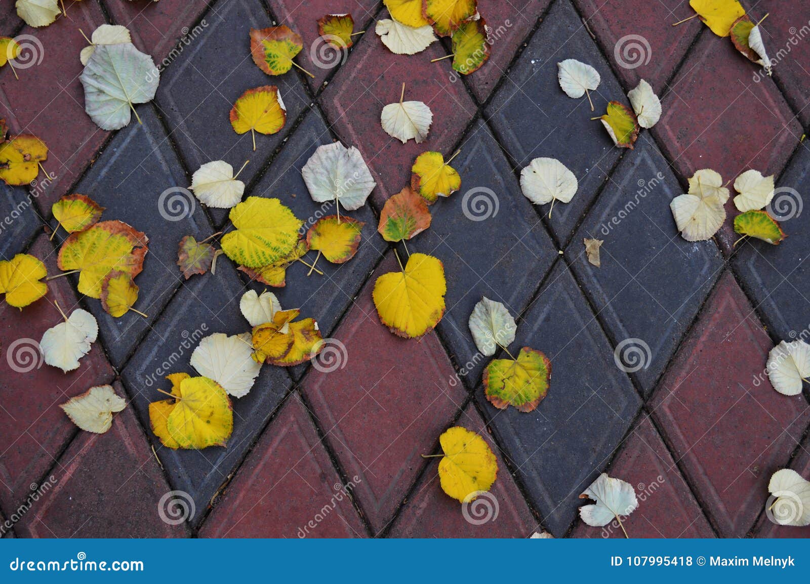 Triangular Stone Pavement Texture Background with Autumn Leaves Stock ...