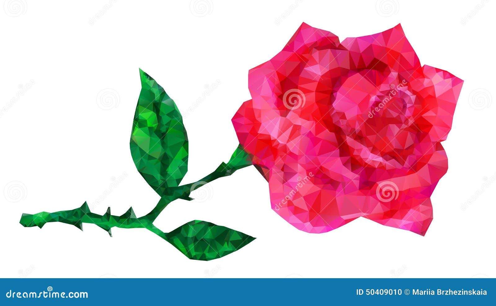 Â a triangular style rose. stock illustration. Illustration of flowers ...