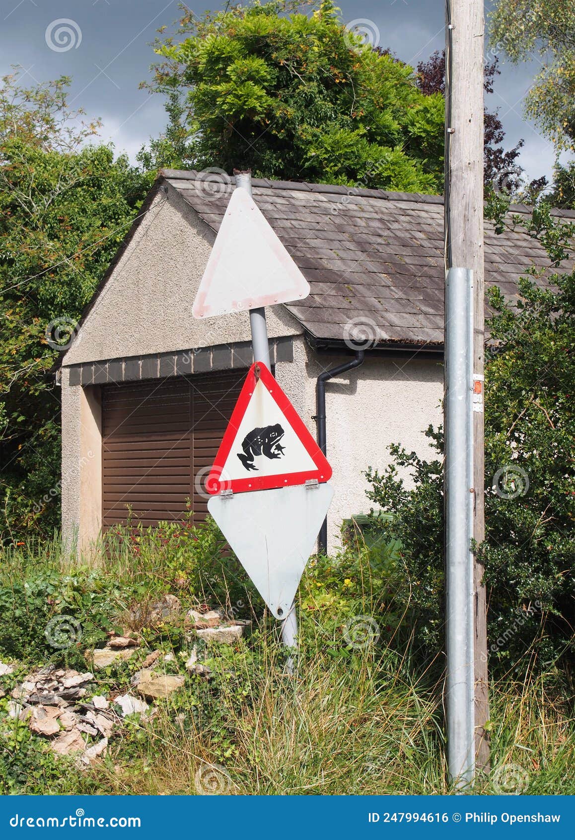 Triangular Toad Crossing Traffic Warning Sign on a Country Road in ...