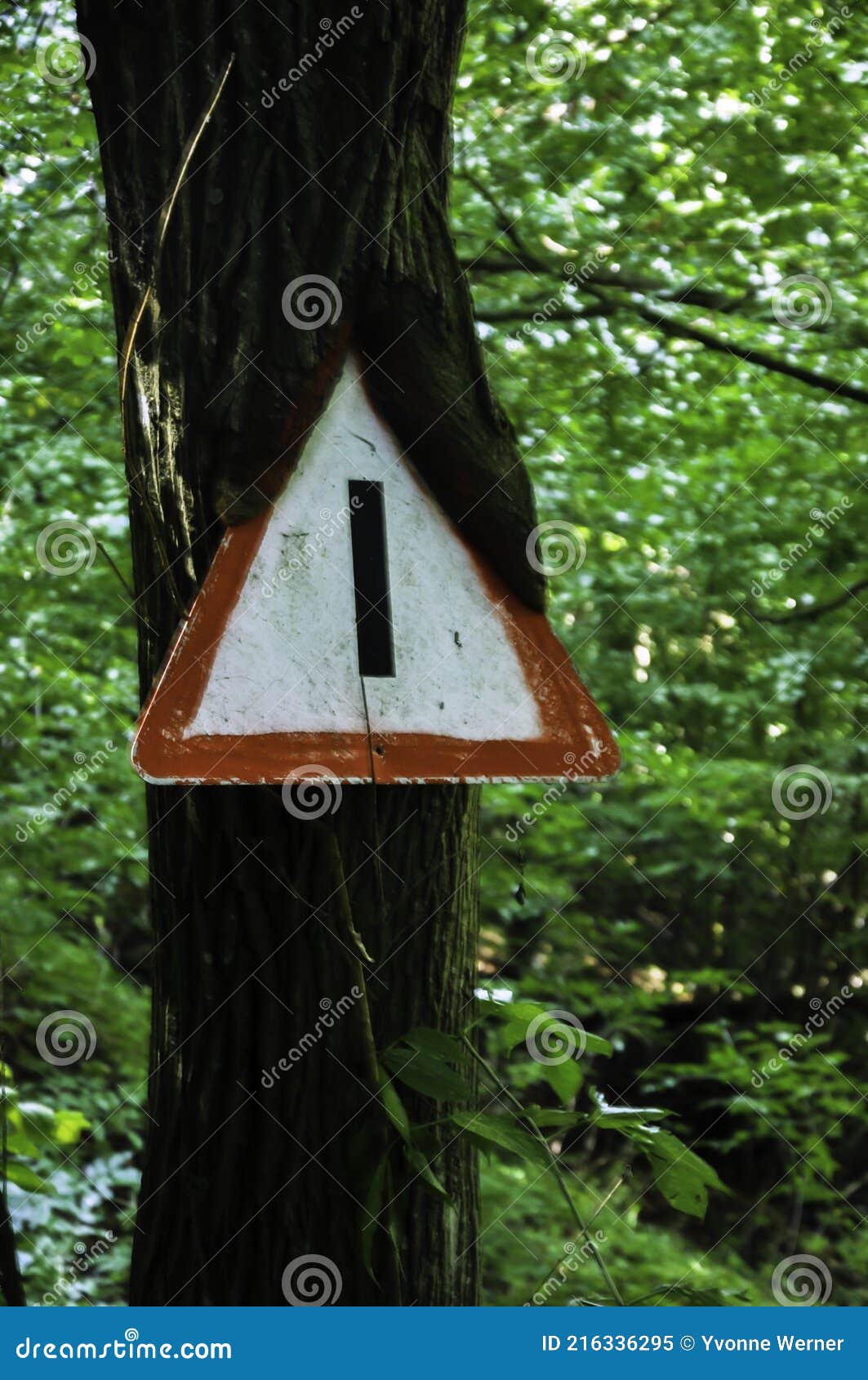 Triangular Traffic Sign, Which Over the Years Has Grown Together with a ...