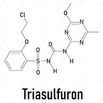 Triasulfuron Herbicide Molecule. Skeletal Formula Stock Vector ...
