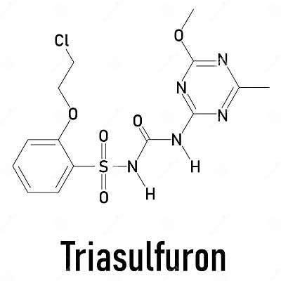 Triasulfuron Herbicide Molecule. Skeletal Formula Stock Vector ...
