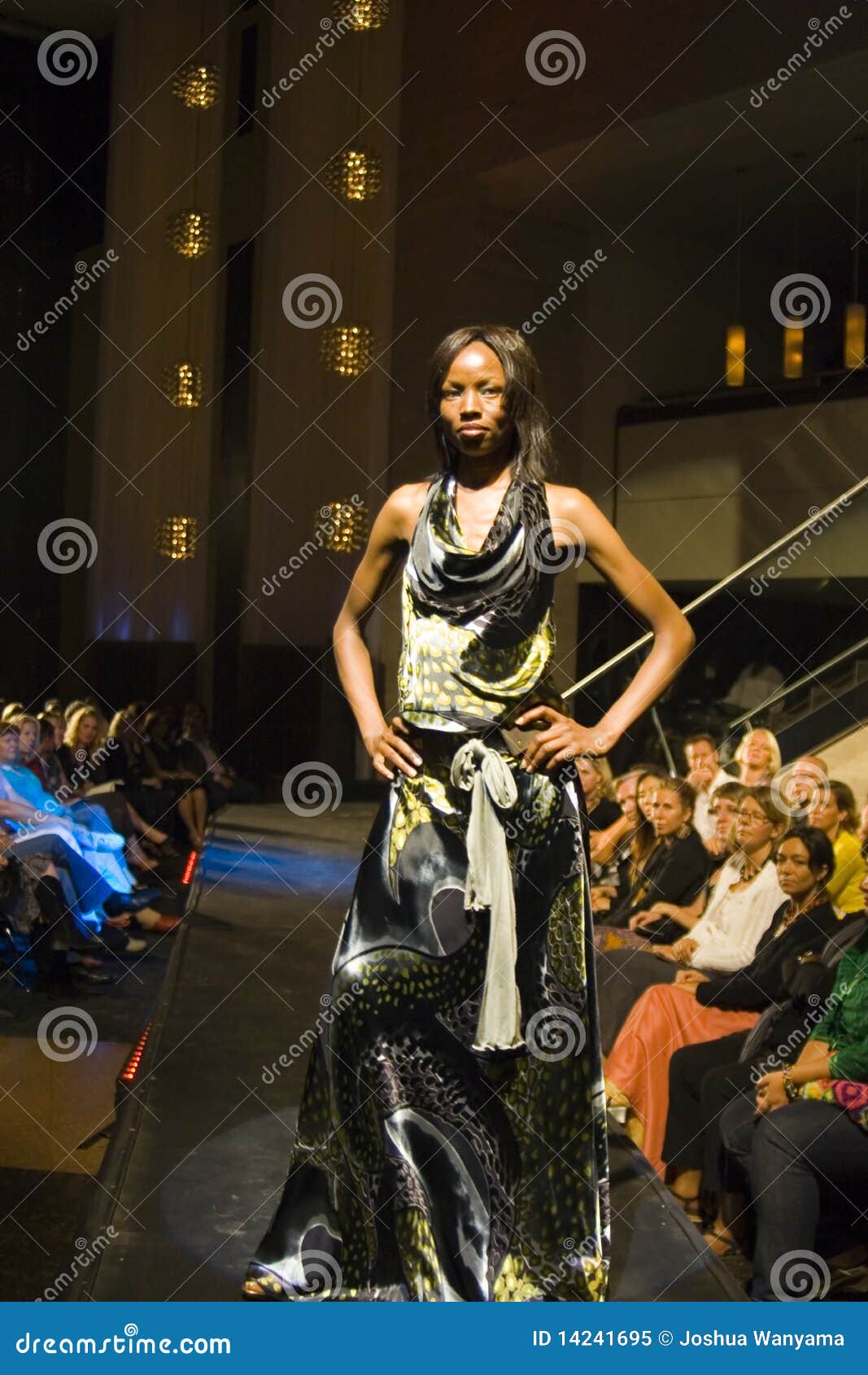Tribal Chic Fashion Show editorial image. Image of kenya - 14241695