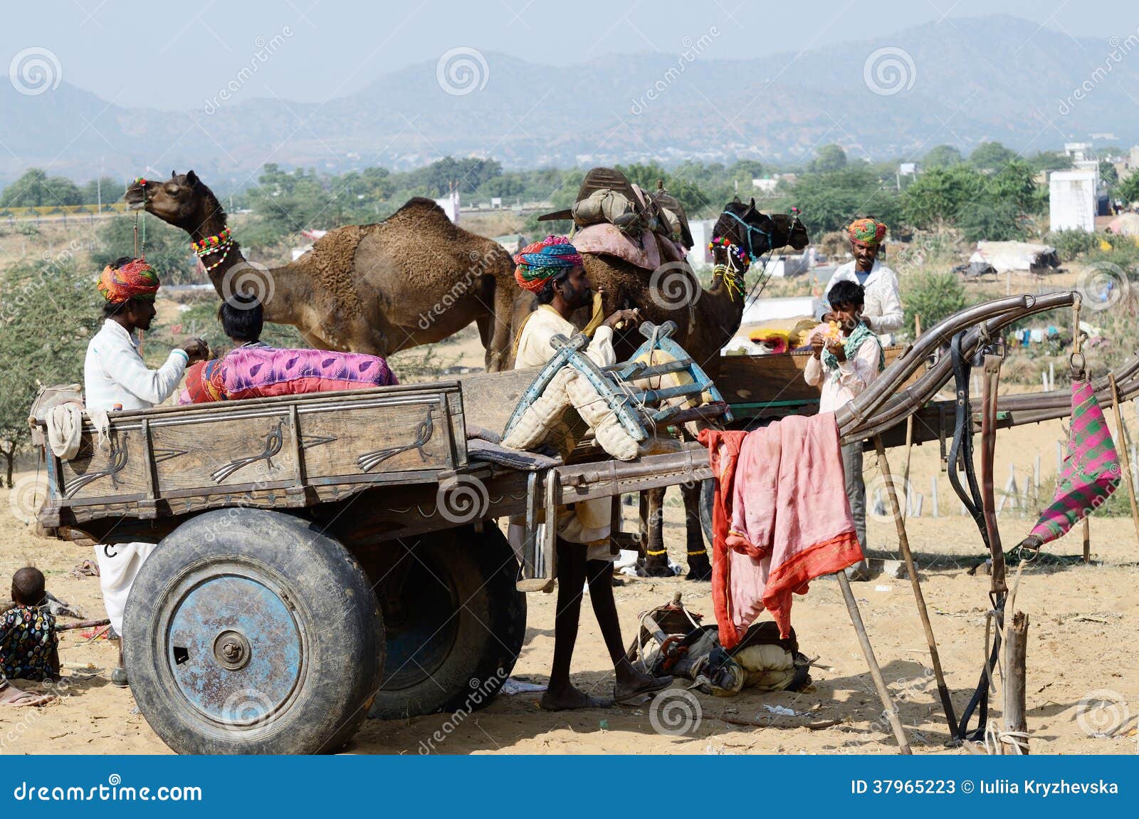 Nomadic Tribal Family From Thar Desert Preparing To Traditional Camel ...