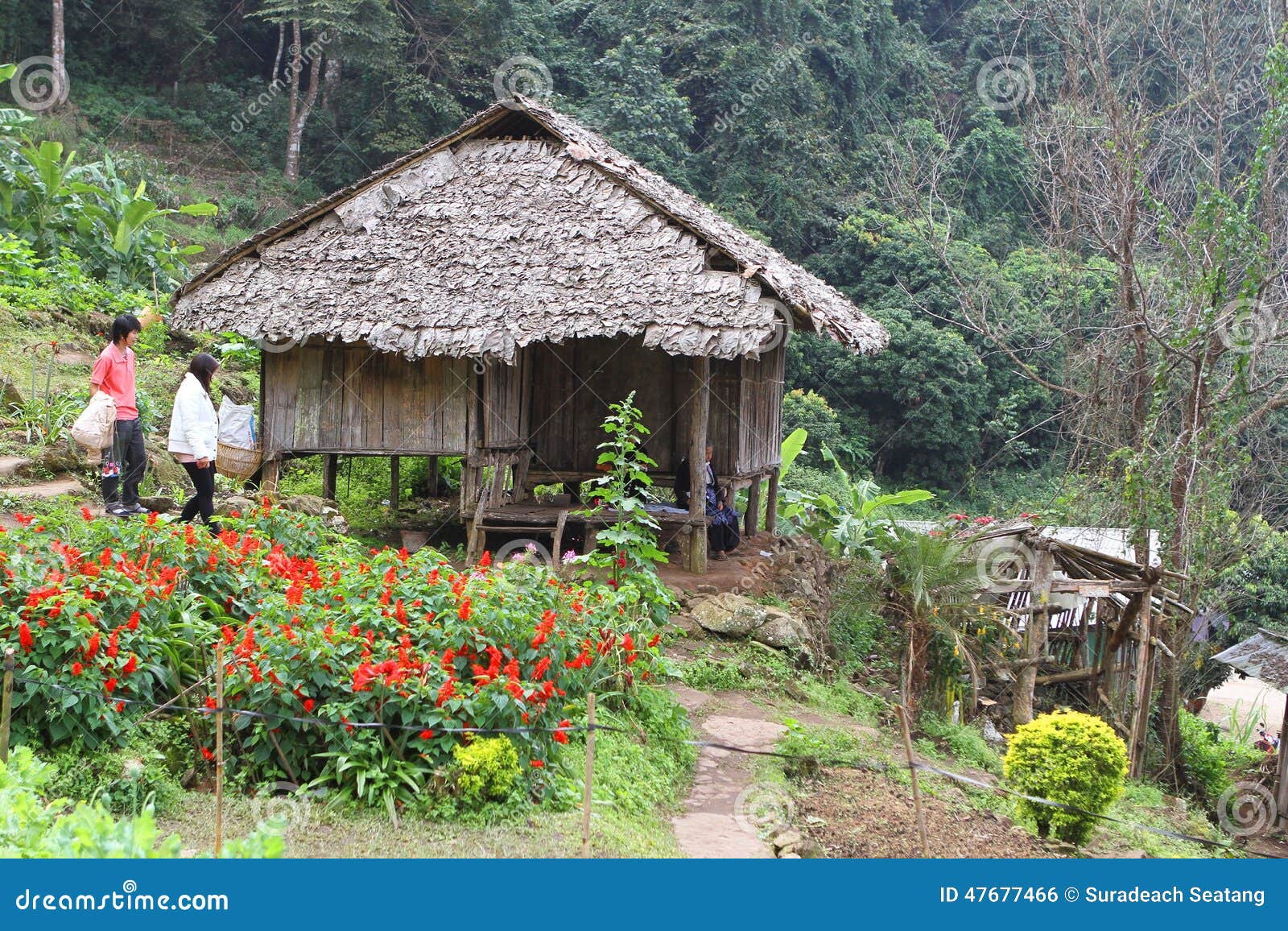 Tribal house editorial photo. Image of nature, amazing - 47677466