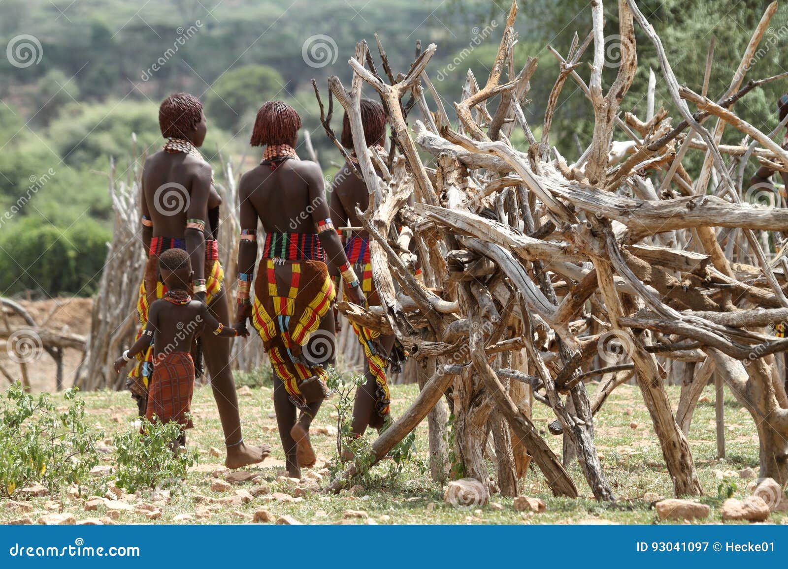 The Tribe of Hamar in the Omo Valley of Ethiopia Editorial Photography ...