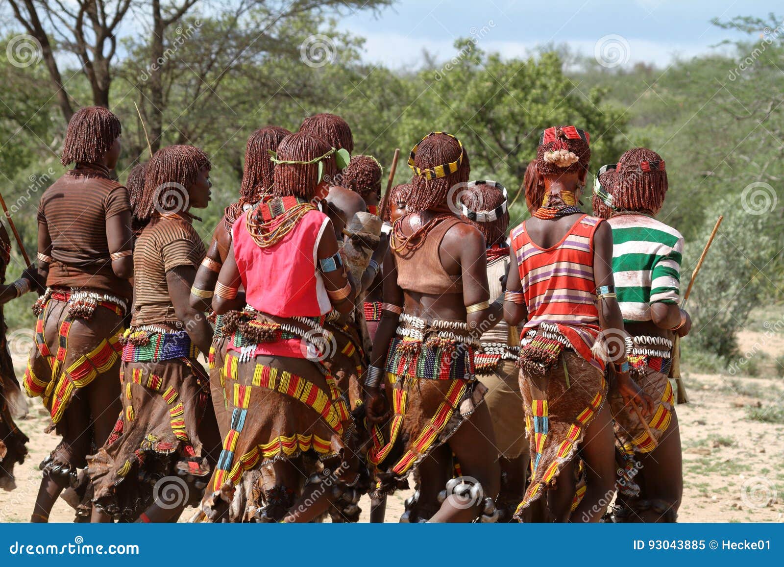 The Tribe of Hamar in the Omo Valley of Ethiopia Editorial Image ...