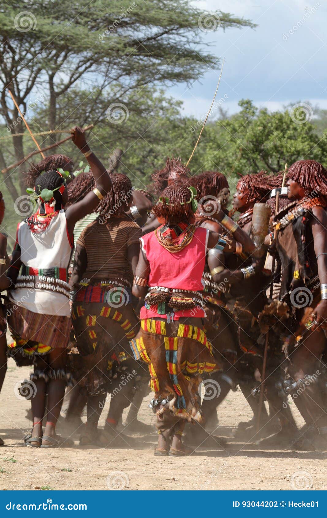 The Tribe of Hamar in the Omo Valley of Ethiopia Editorial Photography ...