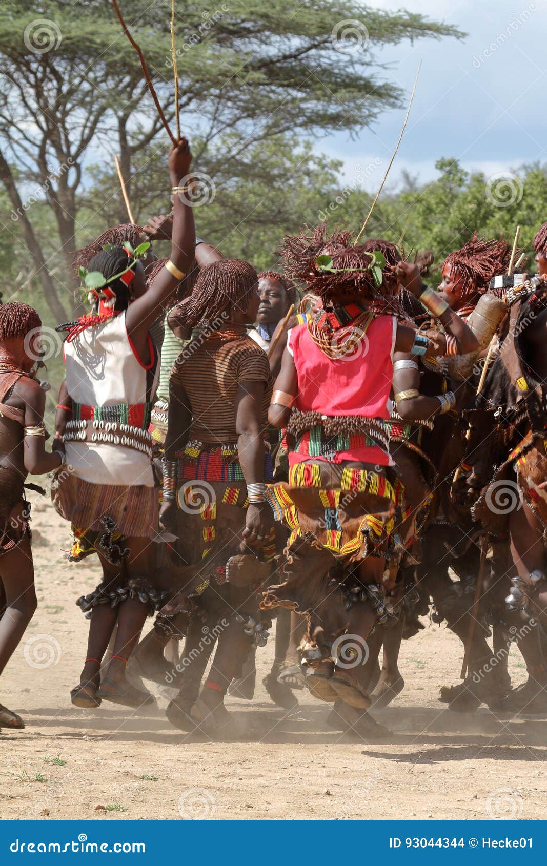 The Tribe of Hamar in the Omo Valley of Ethiopia Editorial Stock Image ...