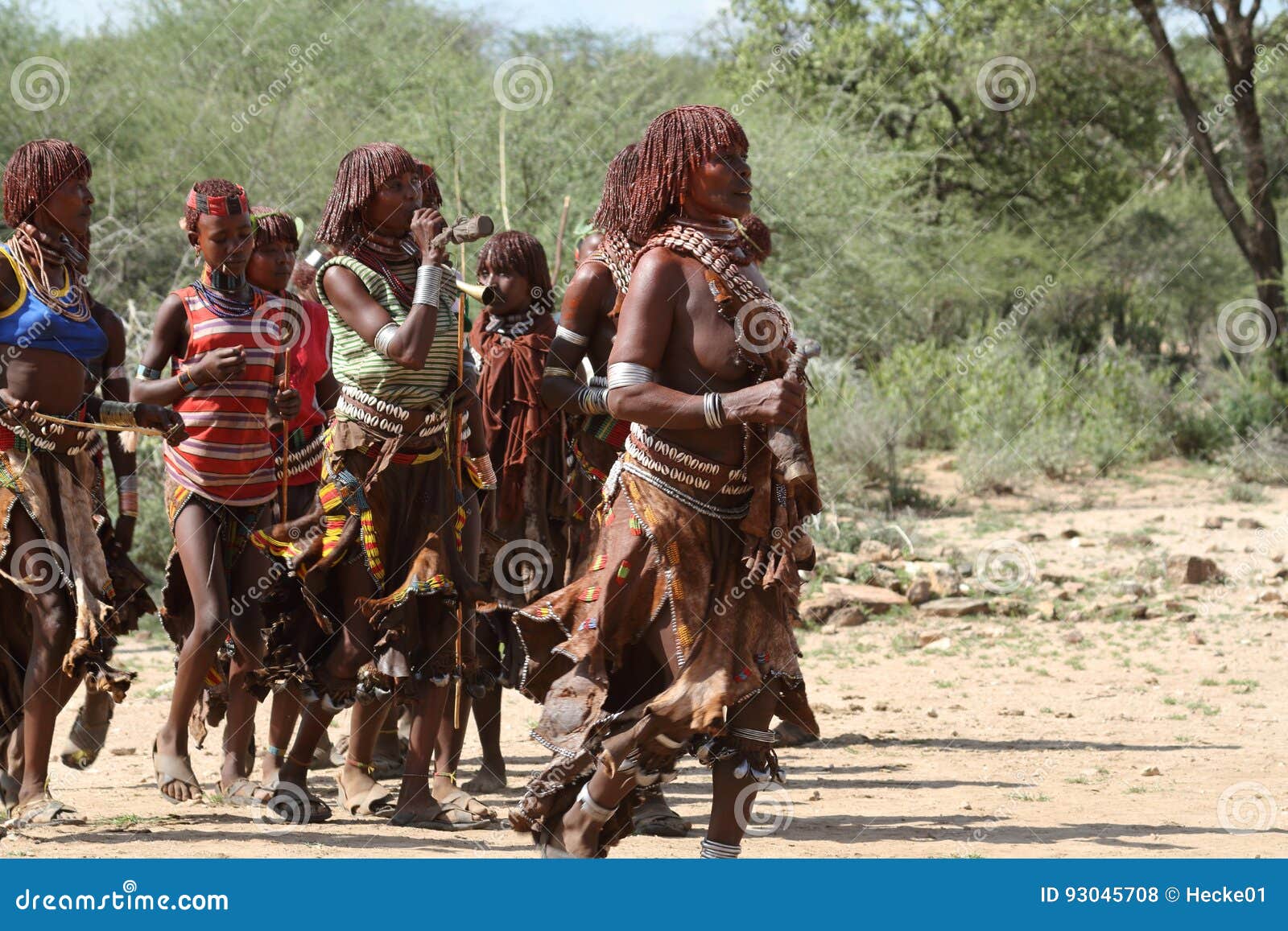 The Tribe of Hamar in the Omo Valley of Ethiopia Editorial Stock Photo ...